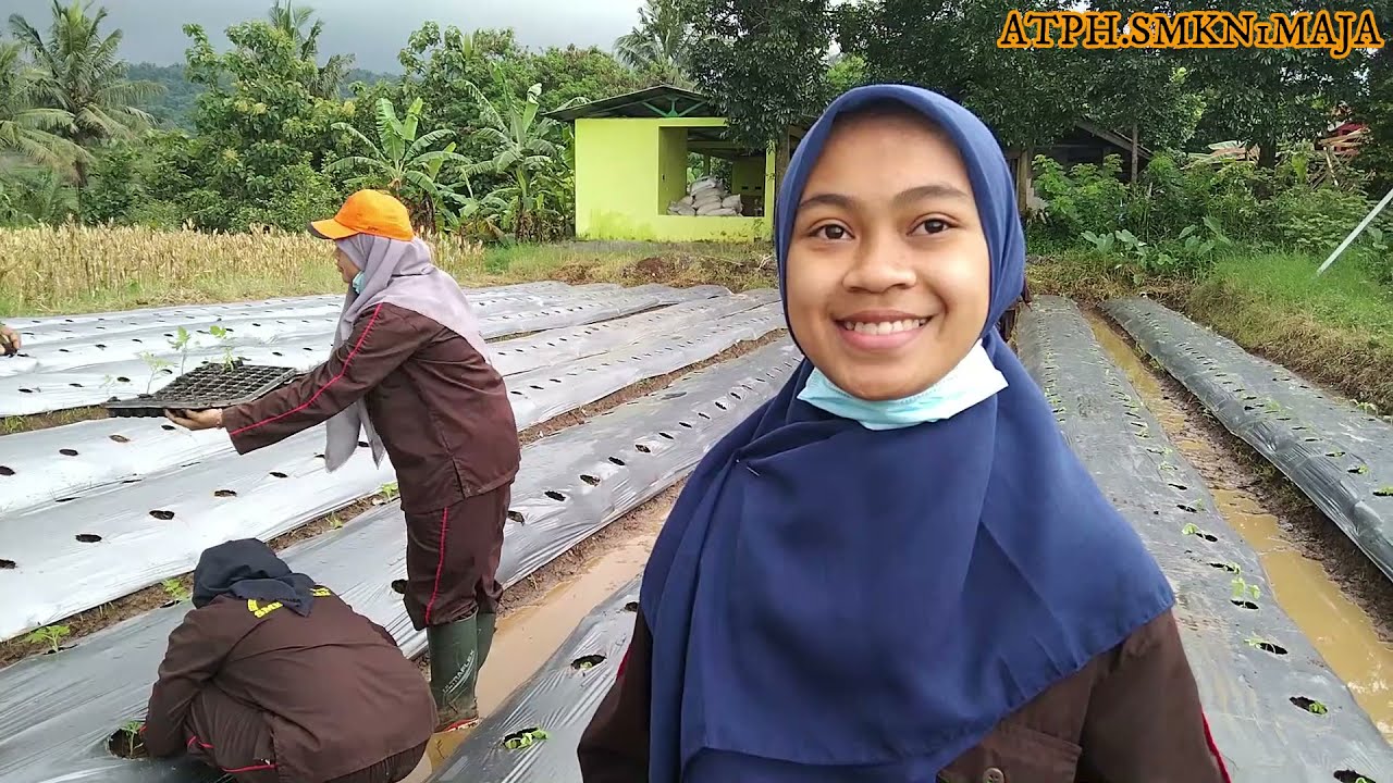 UPDATE PROFIL JURUSAN PERTANIAN #ATPH #SMKN 1 #MAJA #2021 - YouTube