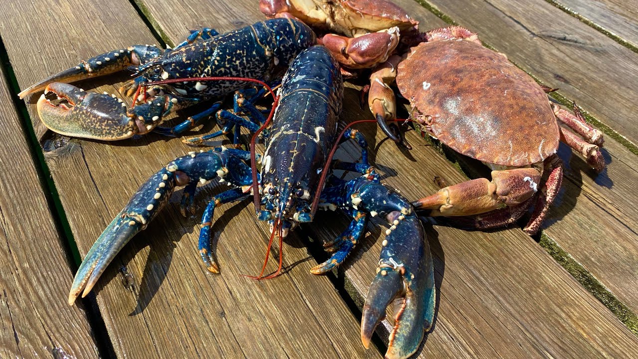 Hand hauling the FishLocker Lobster pots in Bad Weather - The Fish Locker