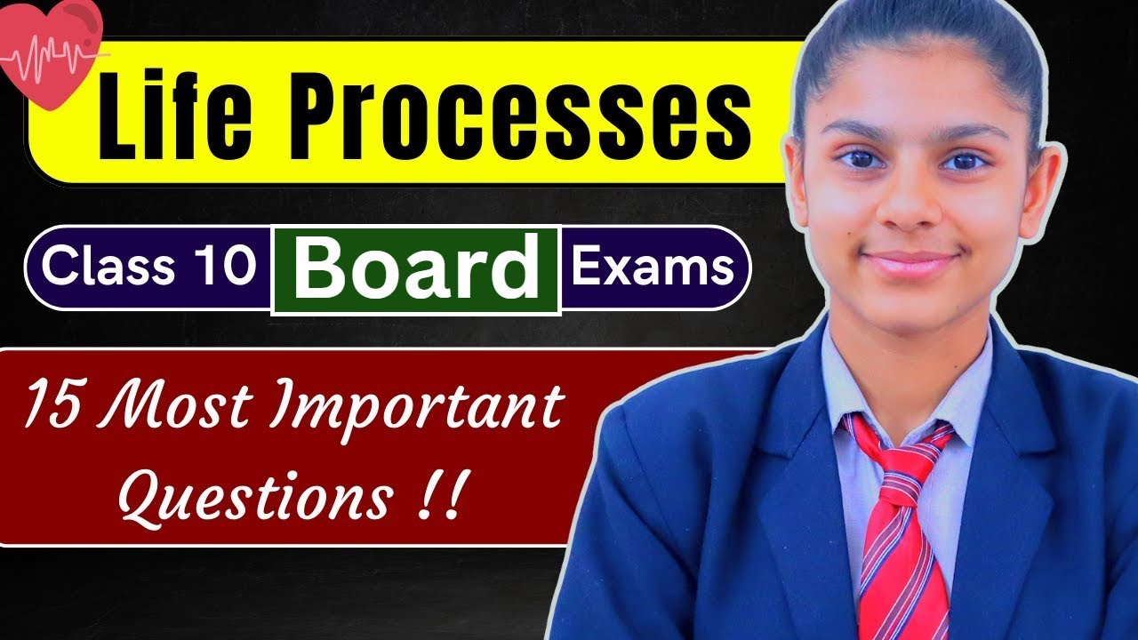 Life Processes 15 Most Important Questions Class 10 Board Exams life-processes-15-most-important-questions-class-10-board-exams