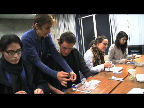 Medicine in Trinity College Dublin - YouTube