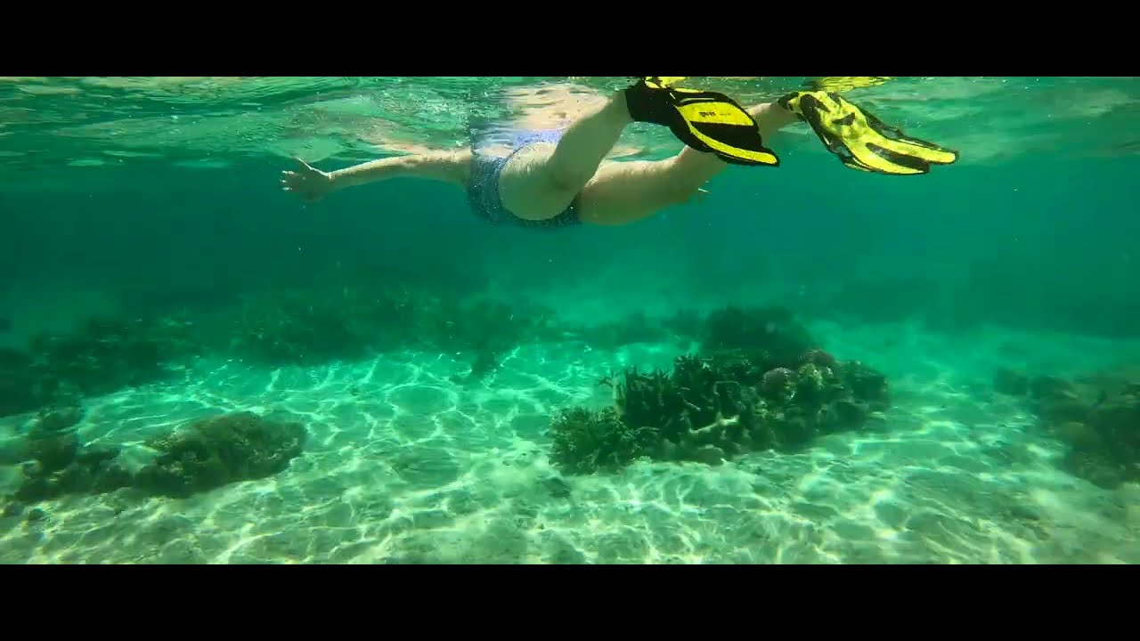 Oyster Stacks, One of The Best Snorkelling Spots in Australia - YouTube