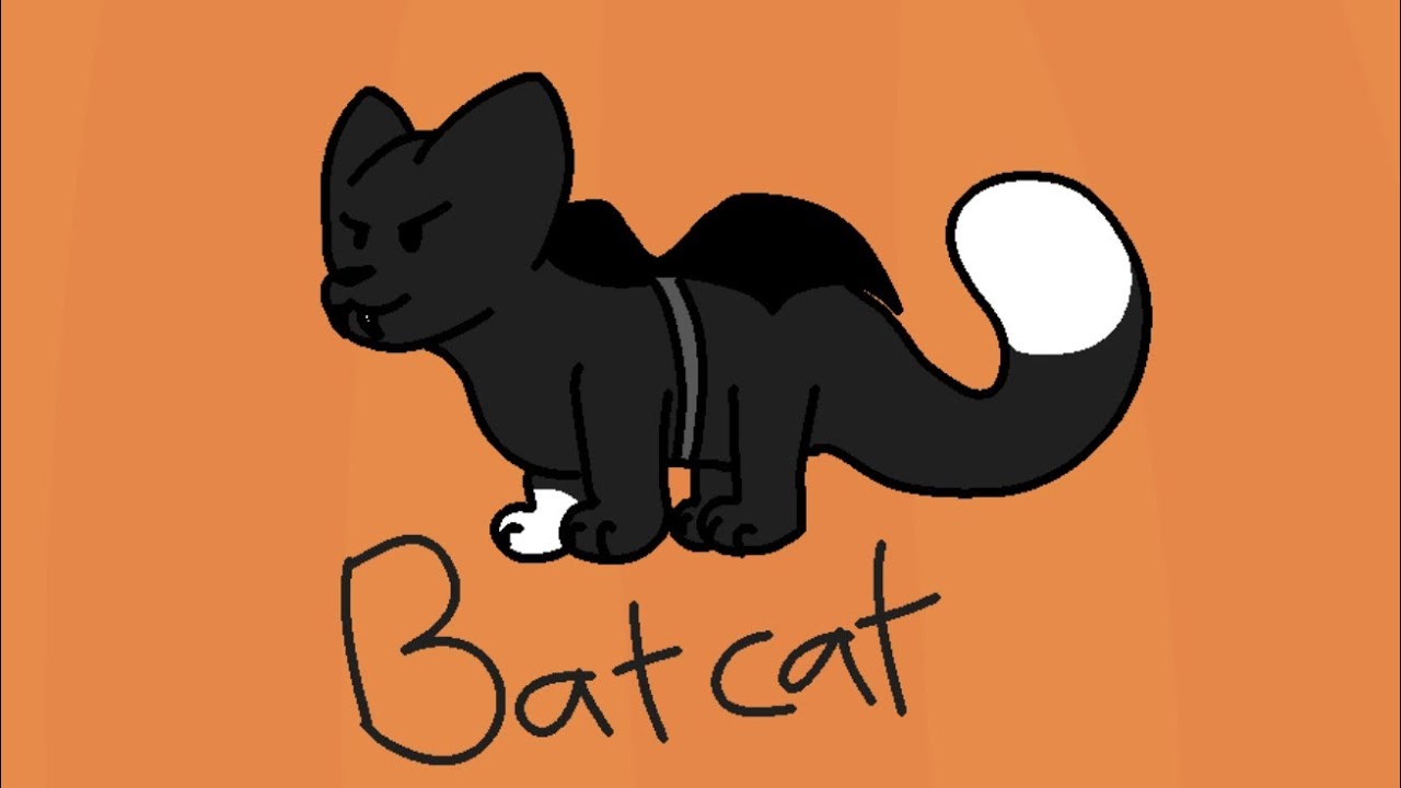 All eyes on me || BatCat || Happy Halloween! - YouTube