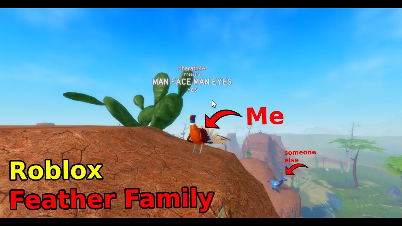 Playing Feather Family! - YouTube