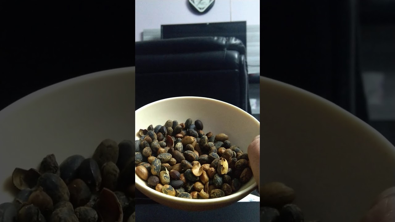 Jamalgota Real Usage Review - YouTube