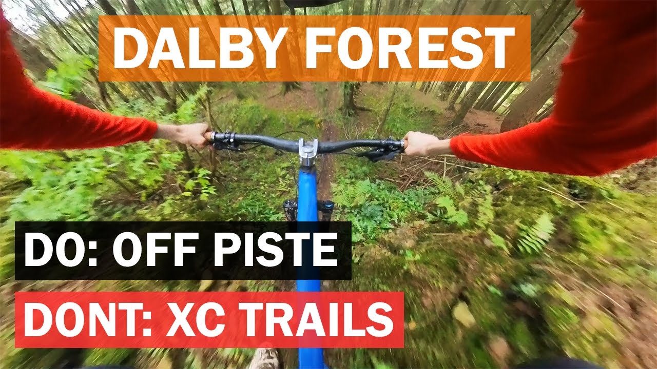 Dalby Forest - Off Piste Madness! Avoid the Trail Centre XC route! #mtb #bike #forest #downhill ...