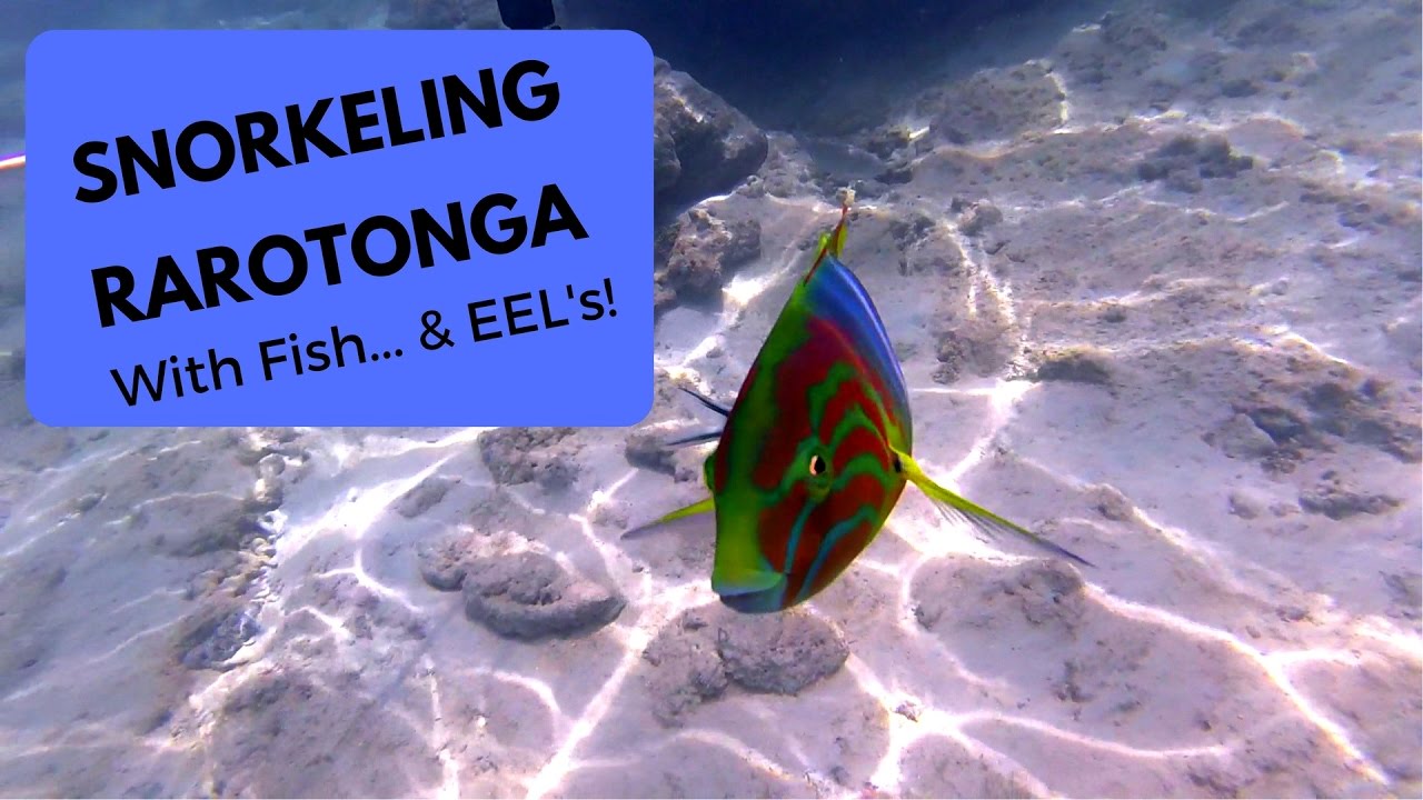 Snorkeling Cook Islands Rarotonga 2017 - YouTube