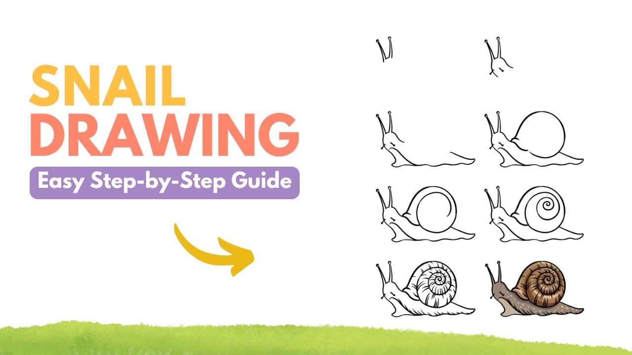🐌 Slow & Steady Wins the Art Race! How to Draw a Snail - Step by Step ...