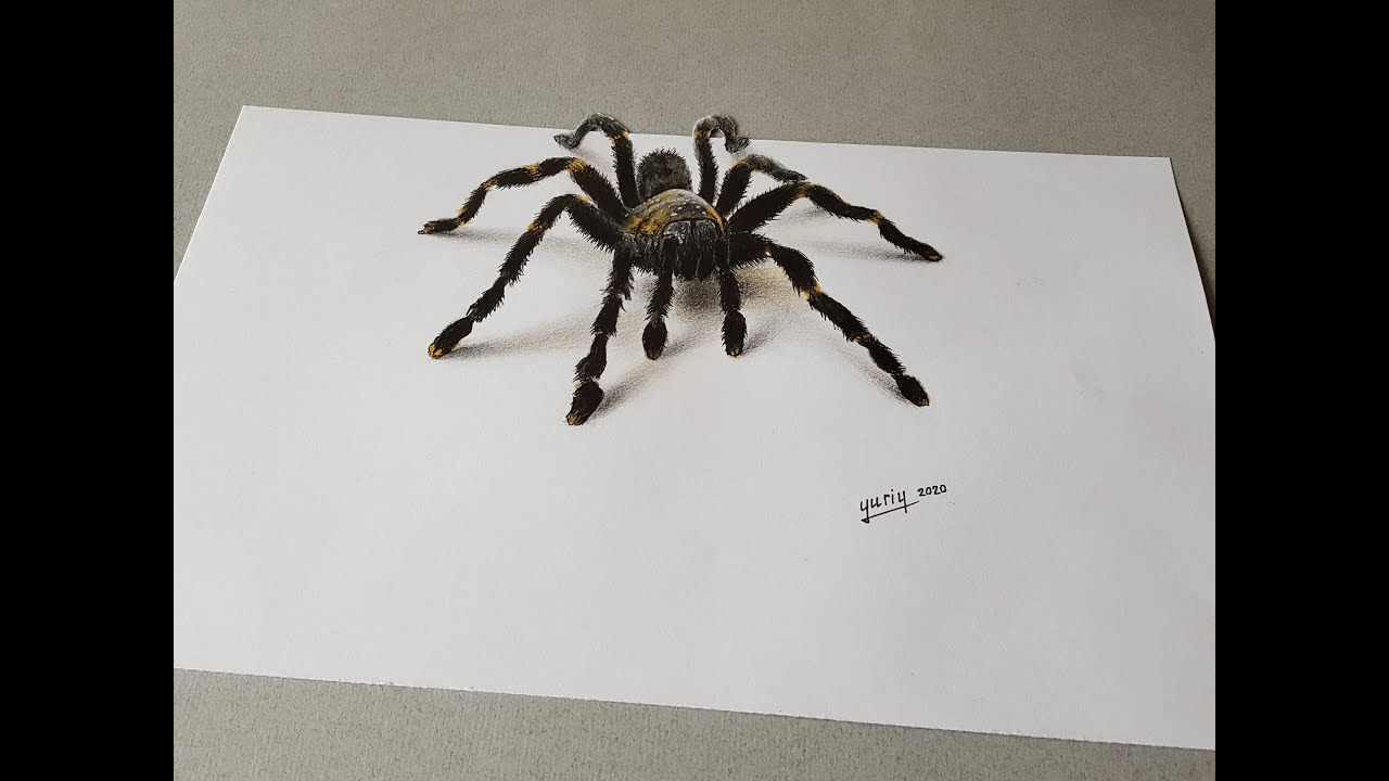 3d drawing of a spider. - YouTube