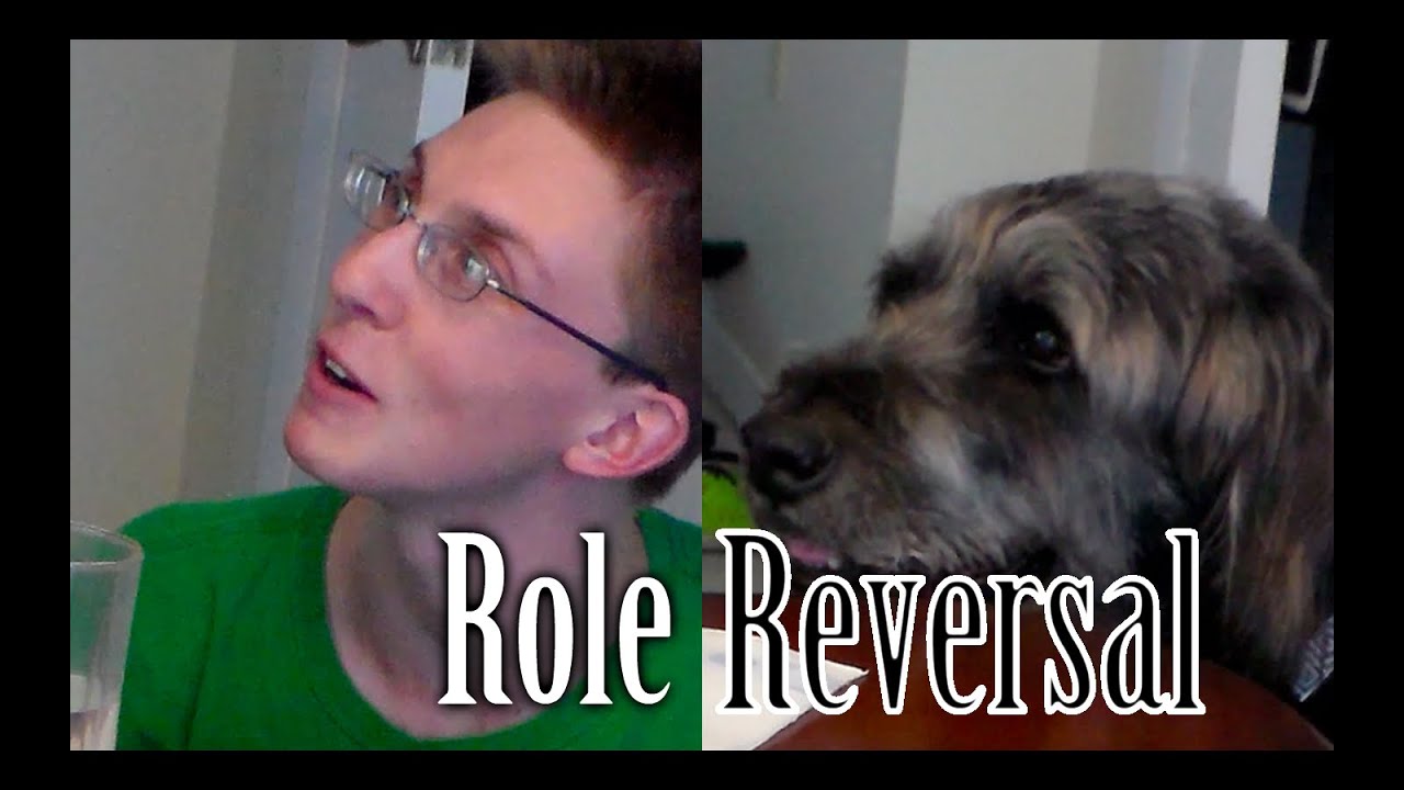 Role Reversal: Dog VS Dog Owner - YouTube