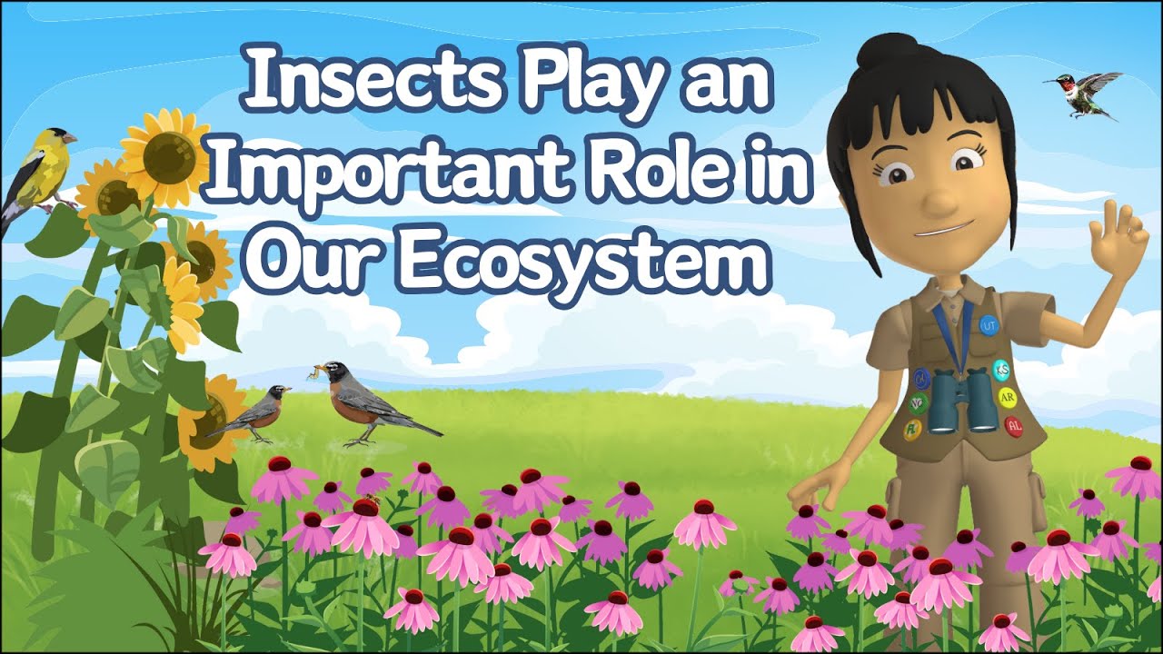 A WonderGrove for Birds: Insects Play an Important Role in Our ...