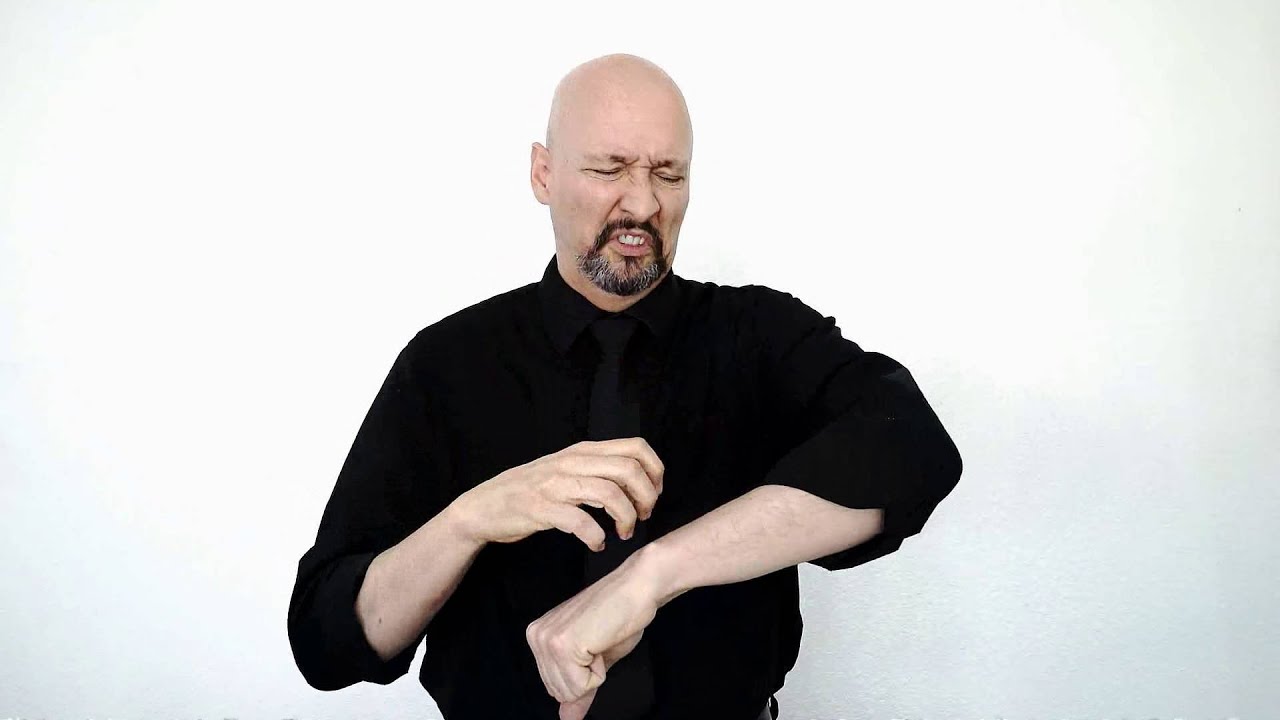 Sign Language For Mosquito