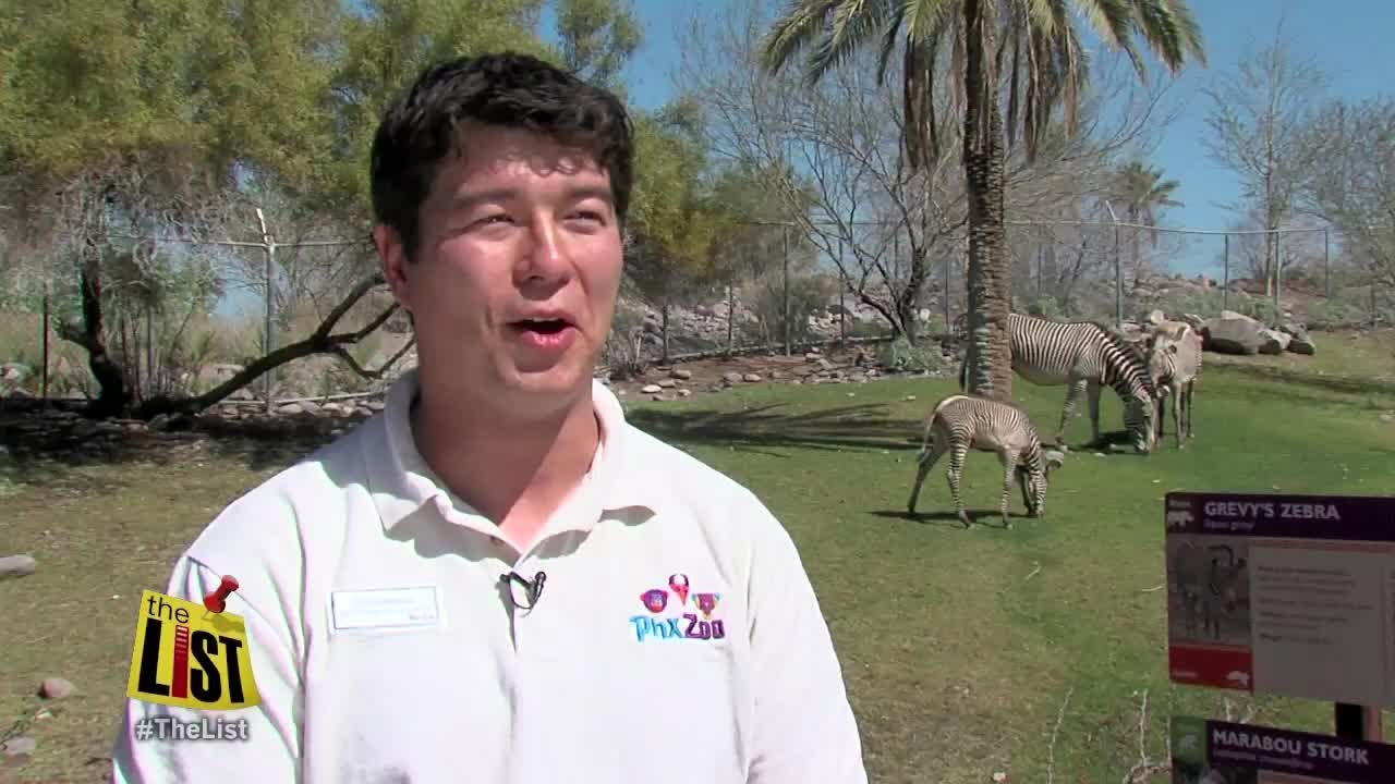 Weird Science: Debunking animal myths - YouTube