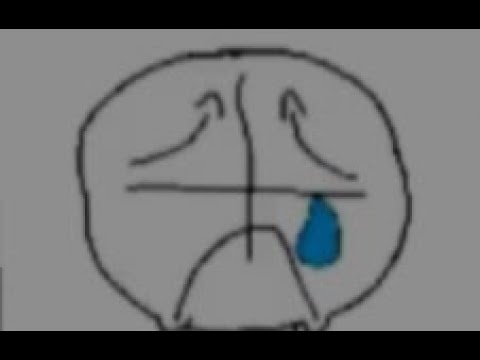 What truly is inside an r63 box? - YouTube