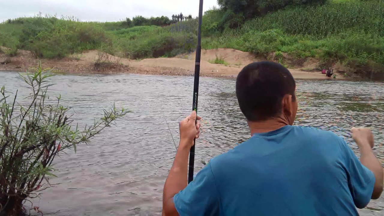 quyen di cau ca - YouTube