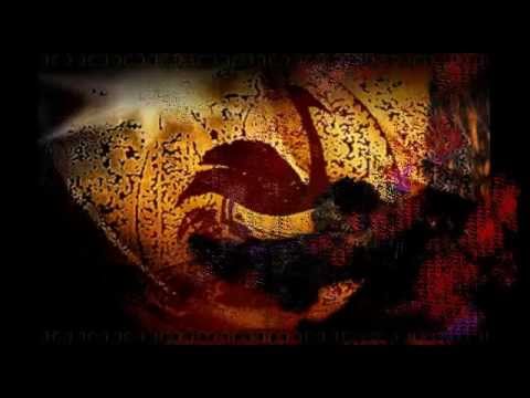 Die Frau und die wilden Schwäne - Märchen