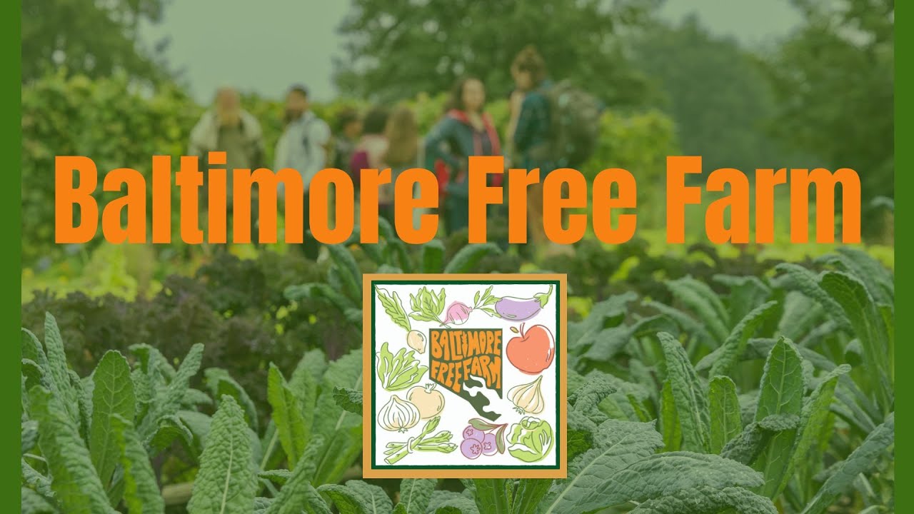 Baltimore Free Farm - YouTube