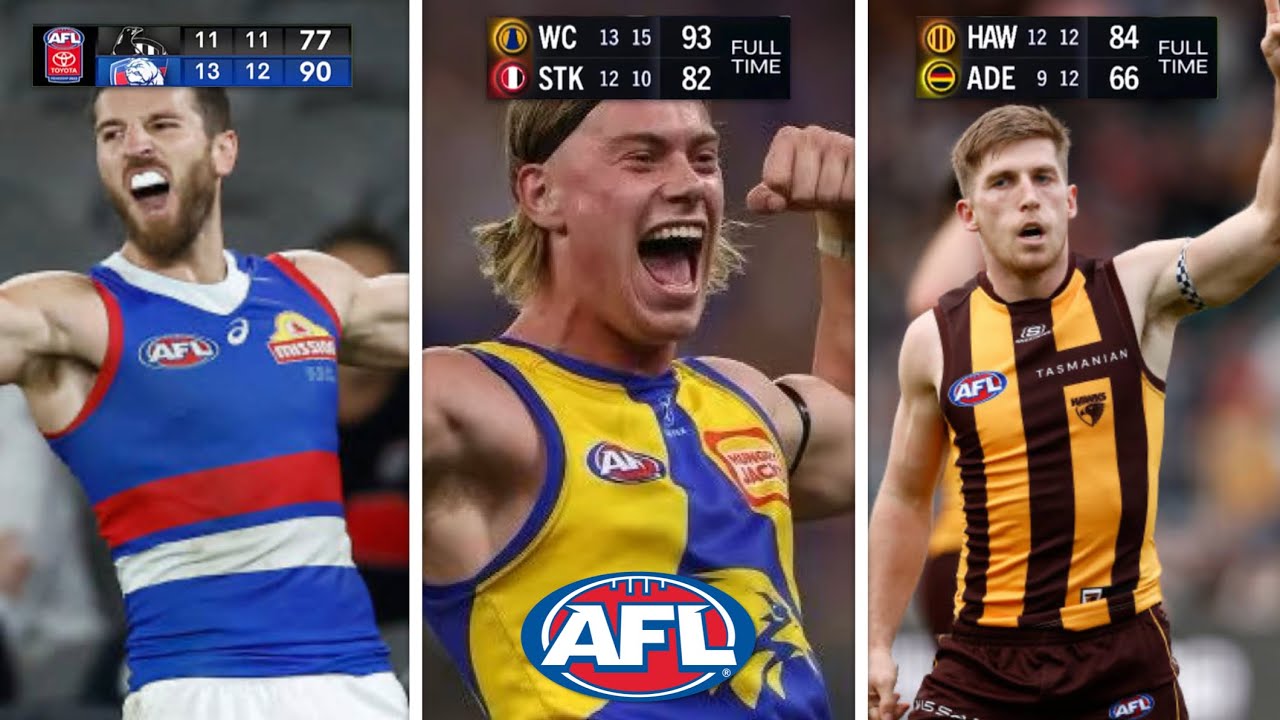 AFL Round 12 2024 TIPS - YouTube