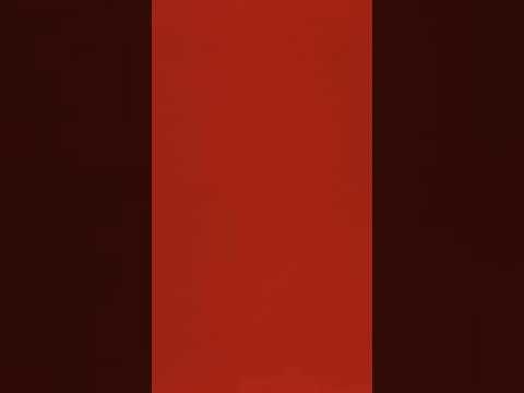 Mary Yulitza rewinding fast 8