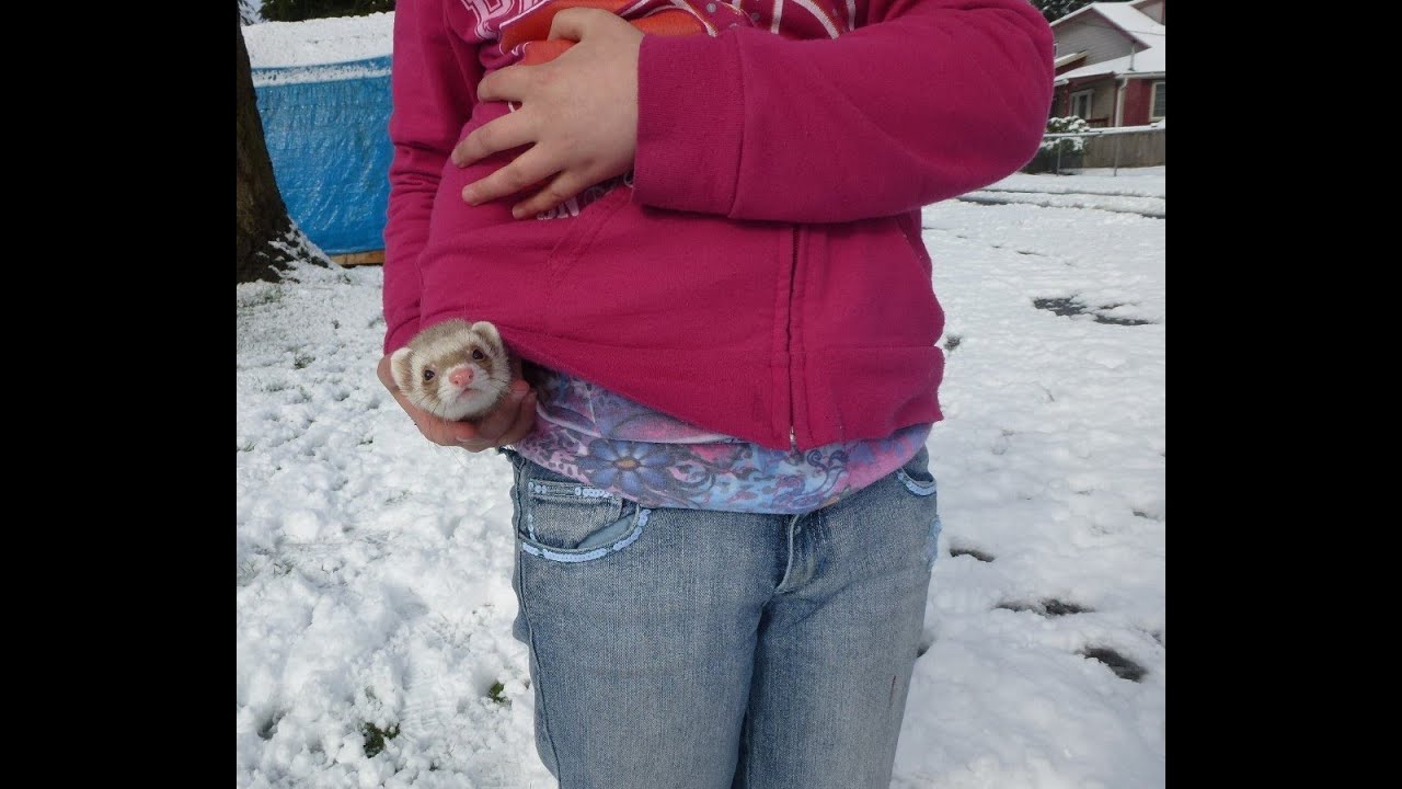 3/22/13 - Pictures of the Springtime snow in Everett, WA - YouTube