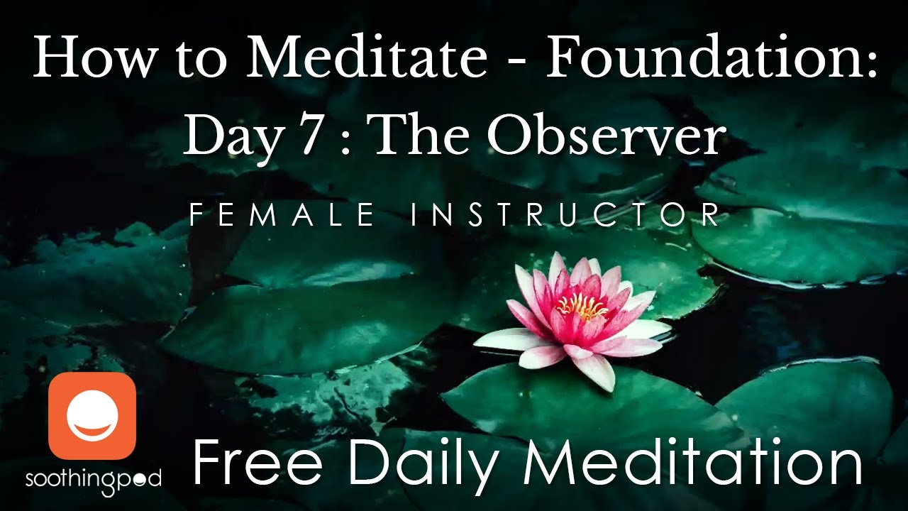 How to Meditate - Foundation | 🧡 Day 7: The Observer 🦡 | Guided ...