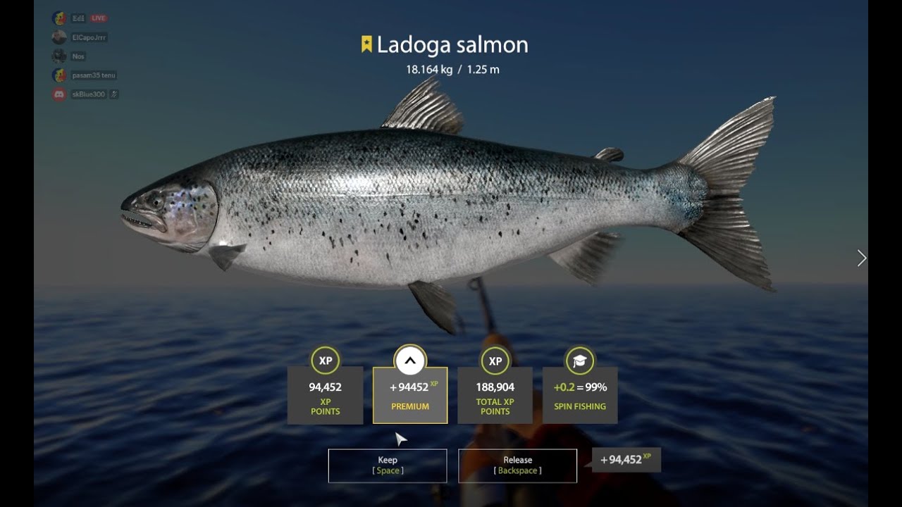 Russian Fishing 4 Huge ladoga salmon Trophy 18kg - YouTube