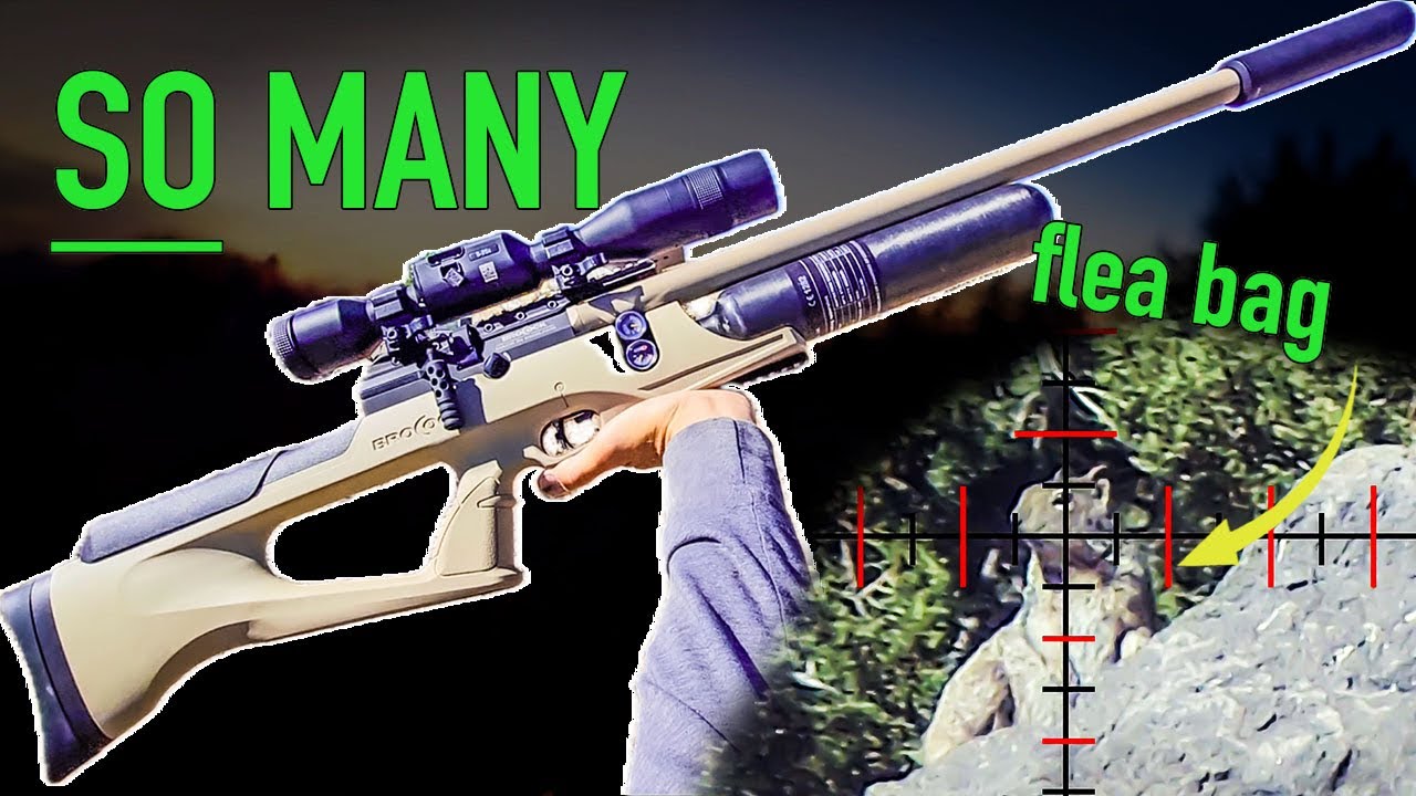 I have a REAL PROBLEM…. ground squirrels EVERYWHERE! - YouTube