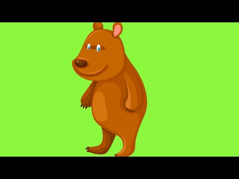On Küçük Ayıcık Şarkısı