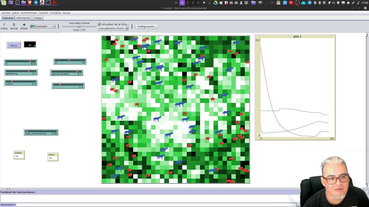 NetLogo Ovejas 2. Lobos vs Ovejas - YouTube