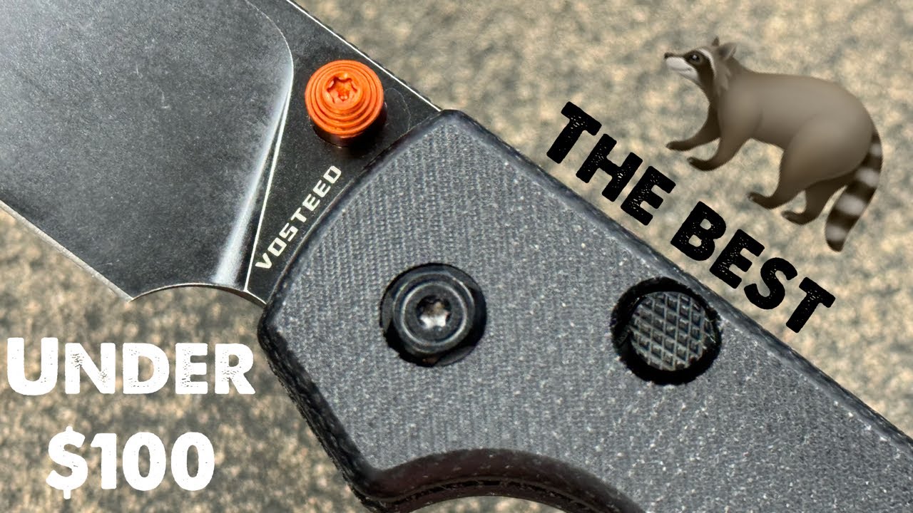 The Best Knife Under $100! | Vosteed Raccoon Top Liner Lock Unboxing ...