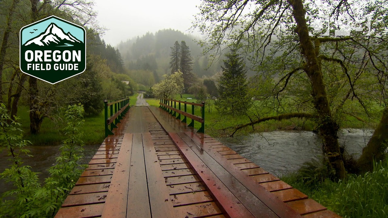 Meet Oregon’s oldest intentional community, Alpha Farm | Oregon Field ...