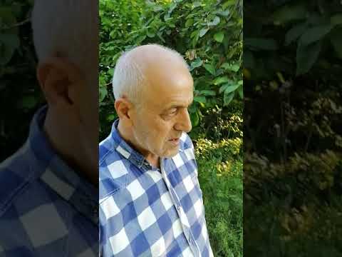 Agdas rayon Sekili kendi. Kend heyati. Ahad Mahmudov