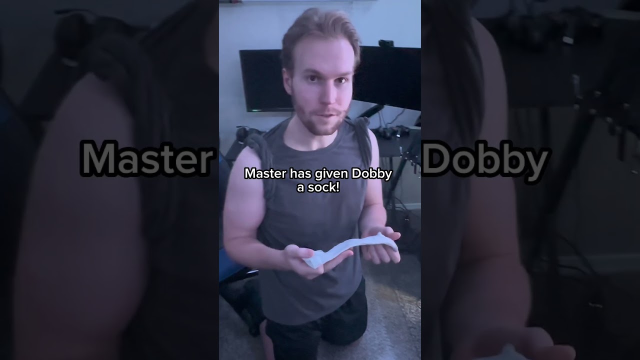 Master Has Given Dobby A Sock Gif