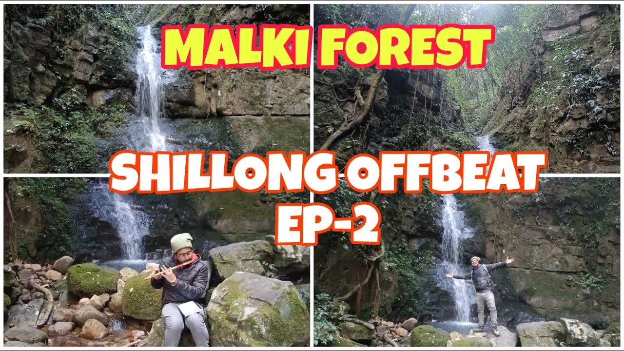 SHILLONG| MALKI FOREST| PART 2 |OFFBEAT 2025 - YouTube