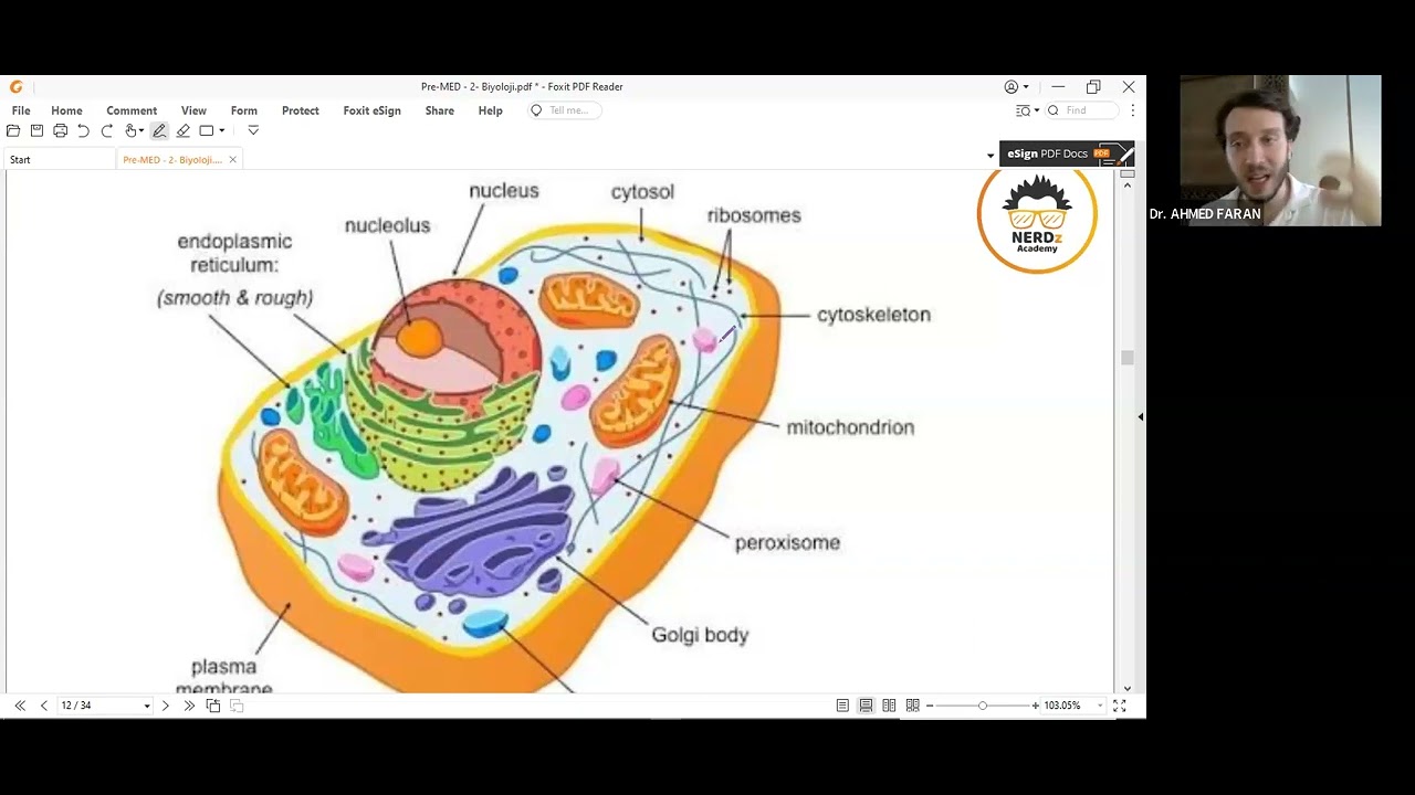 Pre Med An Introduction To Medical Sciences Iclass 2223 1st Session Youtube