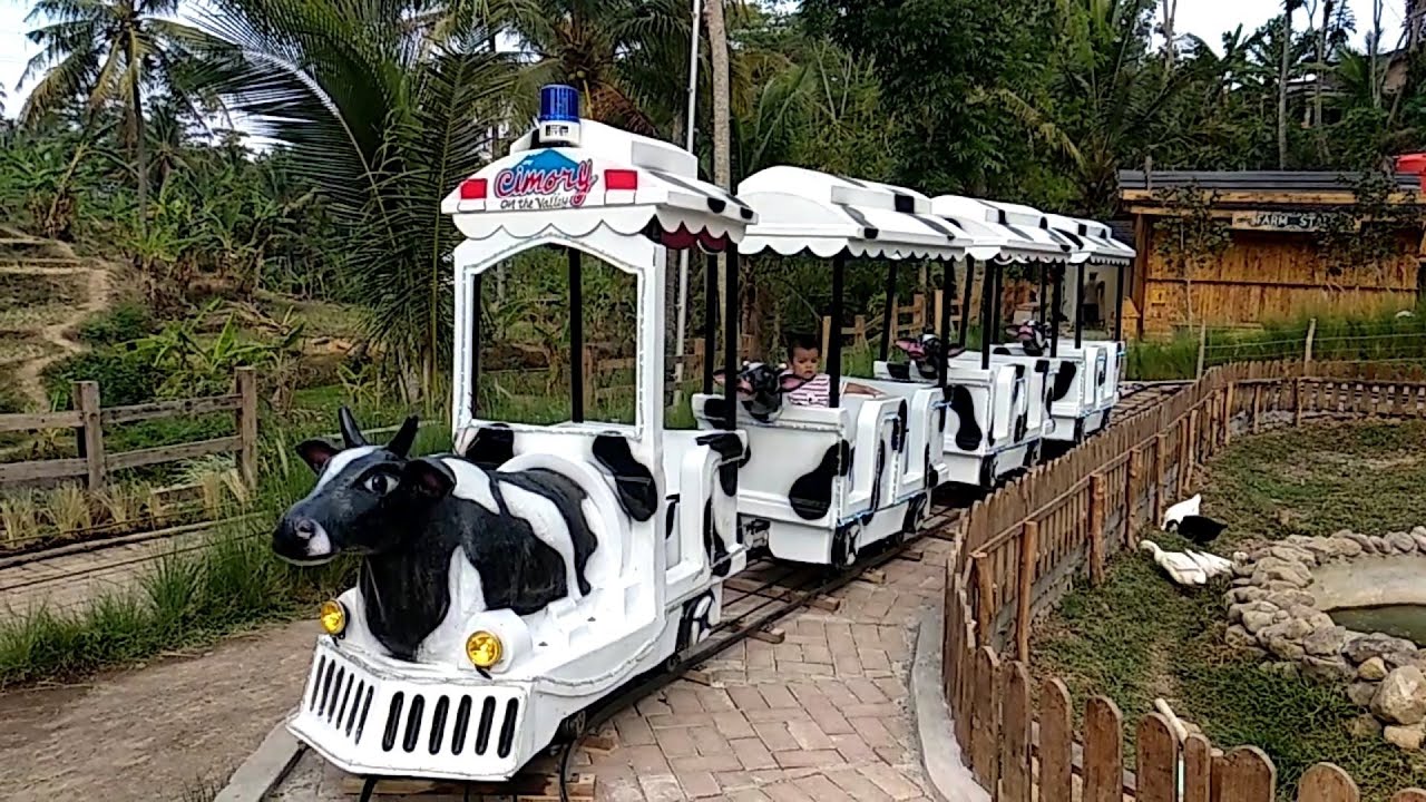 Kebun Binatang Mini Mory's Farm di Cimory On The Valley, Semarang ...