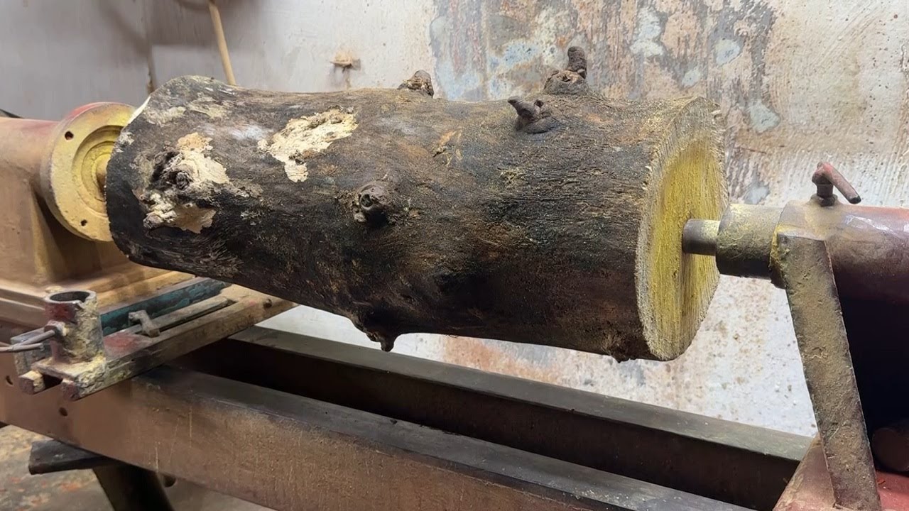 Turn Rotten Tree Branches Into Beautiful Works of Art - YouTube