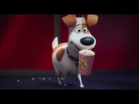 Sekretne życie zwierzaków domowych 2 - Zwiastun PL (Official Trailer)