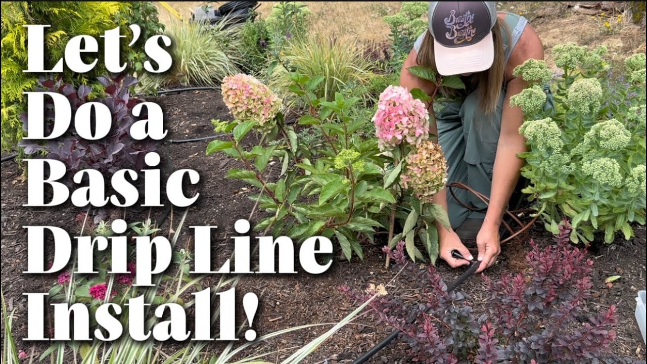 A Detailed Look at Installing a Basic Drip Line in a Garden Without an Irrigation System / Zone ...