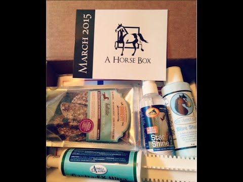 Review | A Horse Box Subscription - YouTube