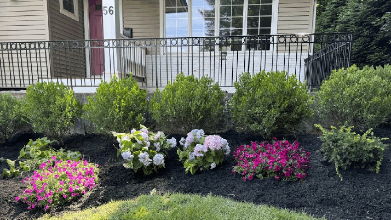 Landscape Design - YouTube