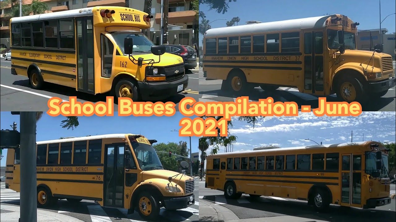 School Buses Compilation - June 2021 | Heavy Duty Vehicles - YouTube
