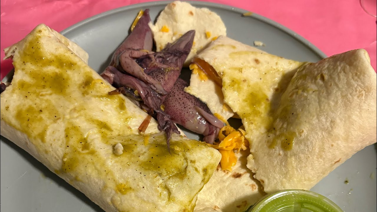 Squid burrito - YouTube