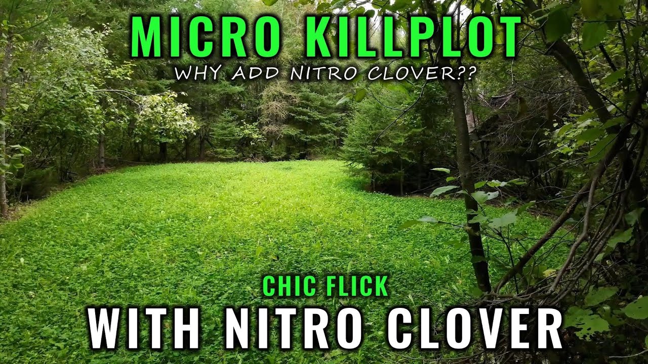 Micro Killplot - YouTube