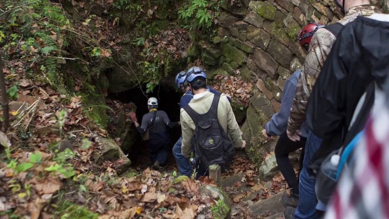 Mammoth Cave Bug: Roger Brucker - YouTube