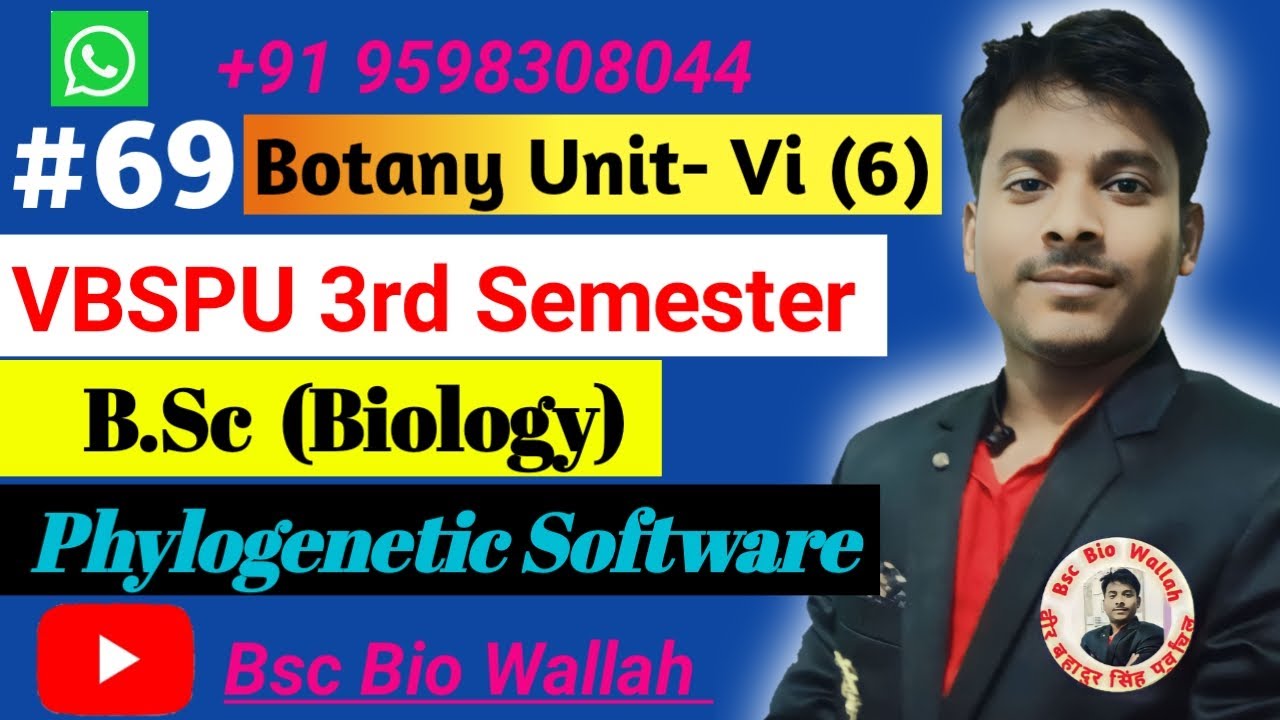 Phylogenetic and Phylogenetic software || phylip @bscbiowallah ...