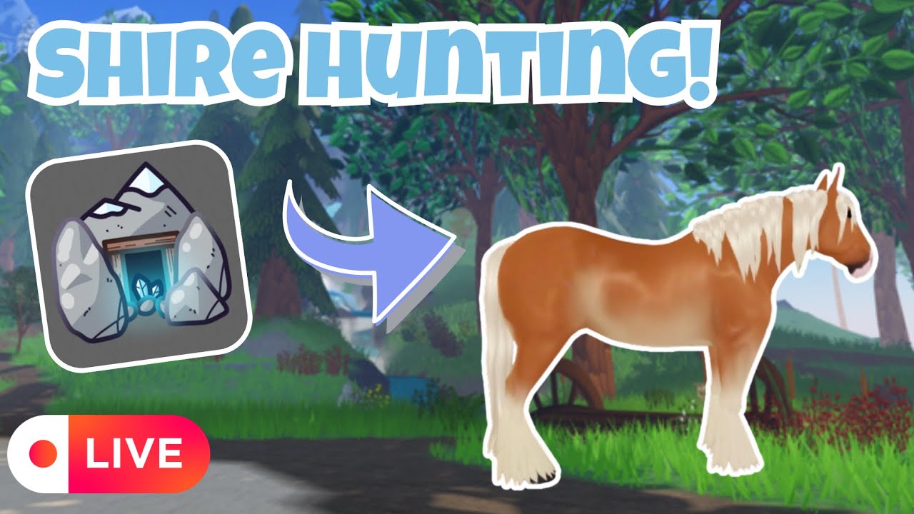 Hunting For Shires! | Wild Horse Islands - YouTube