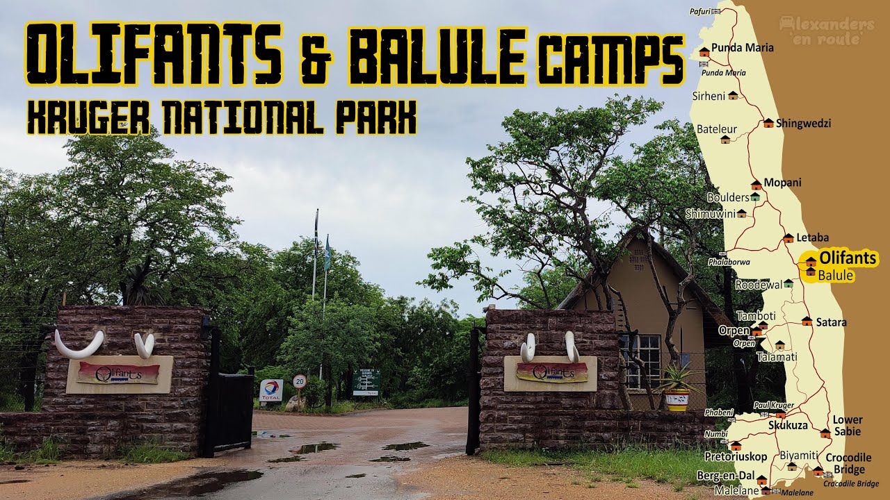 Kruger National Park: Olifants Rest Camp & Balule Satellite Camp - YouTube