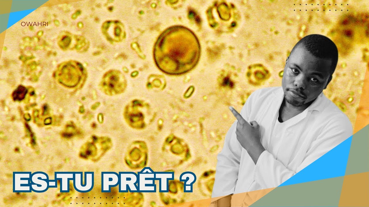 Comment identifier les kystes de Blastocystis hominis ? #Parasitologie ...