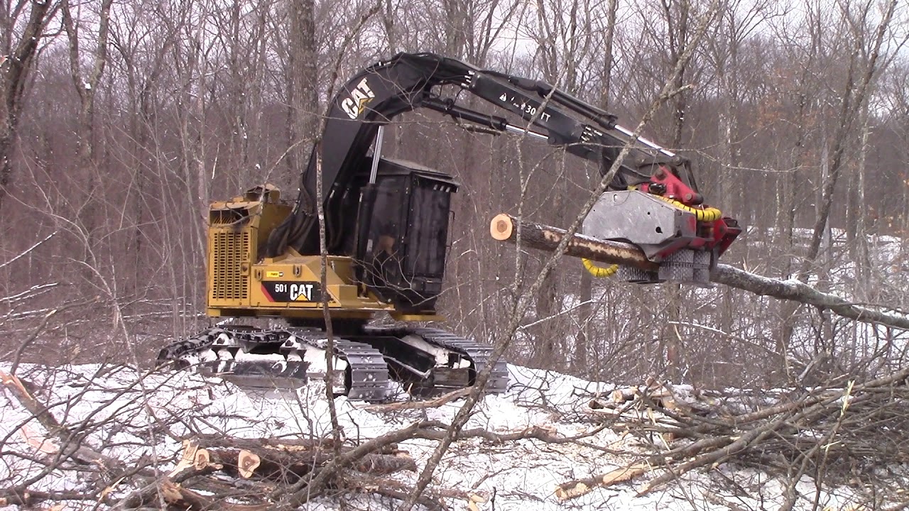 2012 CAT 501HD Harvester with a Fabtek 4 Roller Head - YouTube