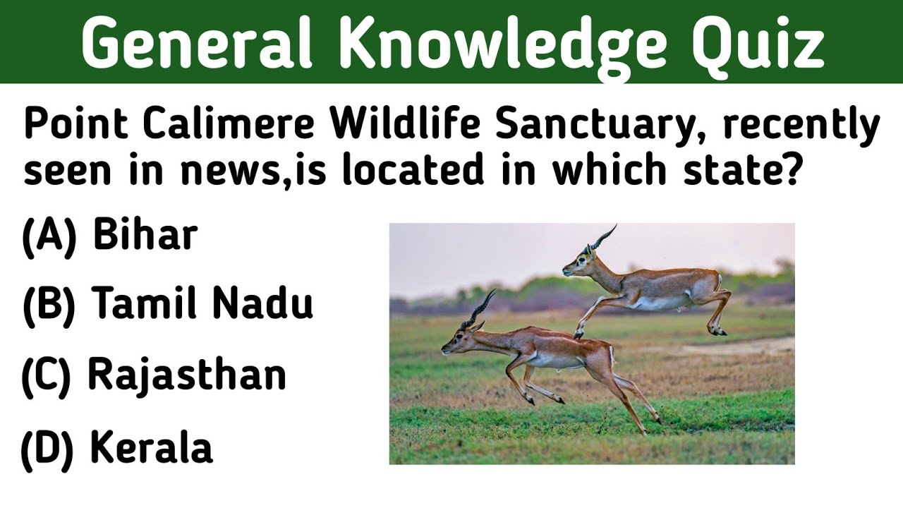 General knowledge Quiz| Gk 2024 |New gk questions 2024| Try Mcq - YouTube